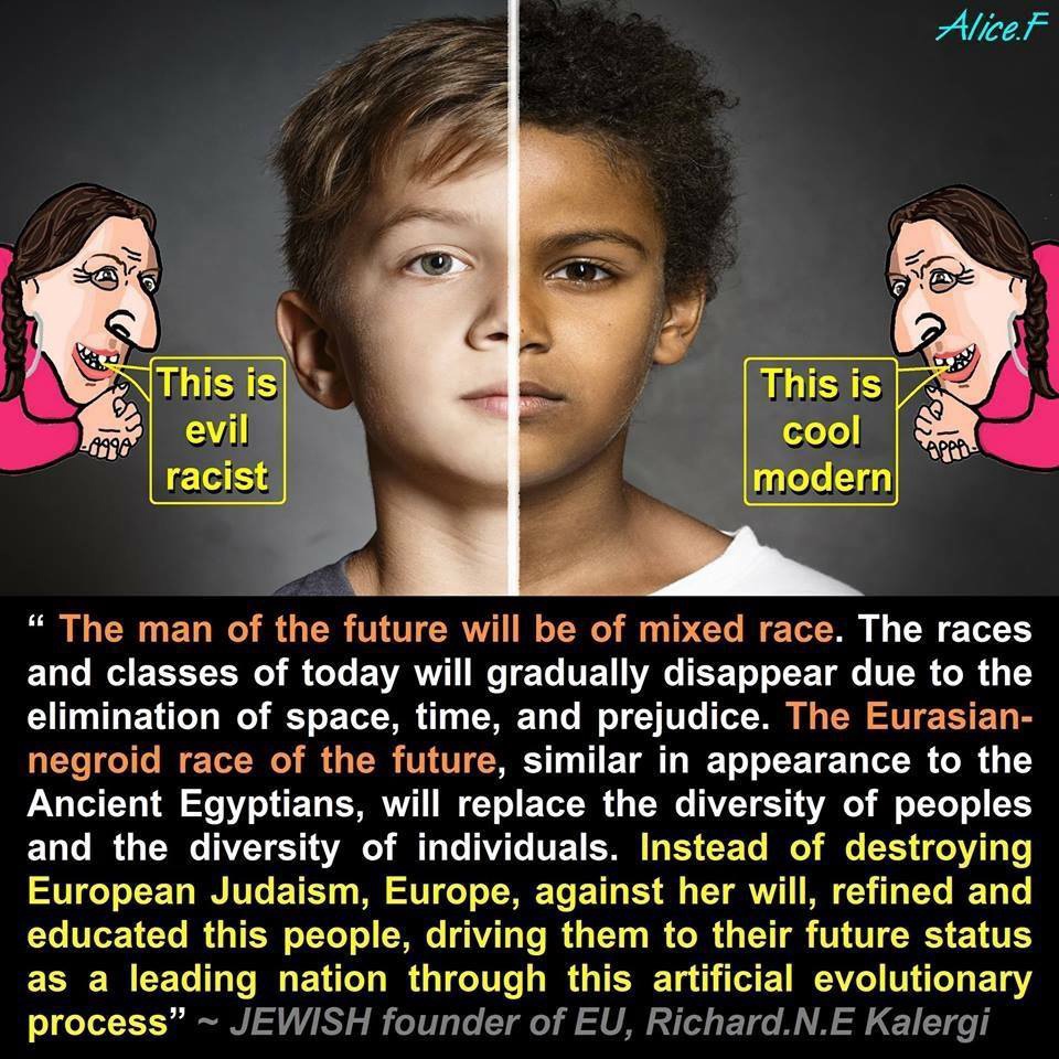 Fitzpatrick Informer